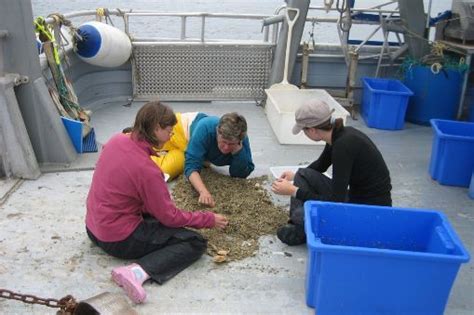 Sorting Sediment Samples — Science Learning Hub