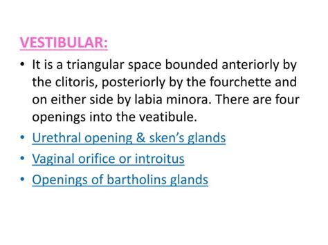 External Genitalia PPTX