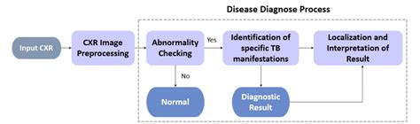 Figure 1 From Tuberculosis Diagnostics And Localization In Chest X Rays Via Deep Learning Models