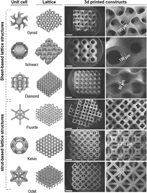 Sem Micrographs Displaying The Structure Of 3d Models And Sintered