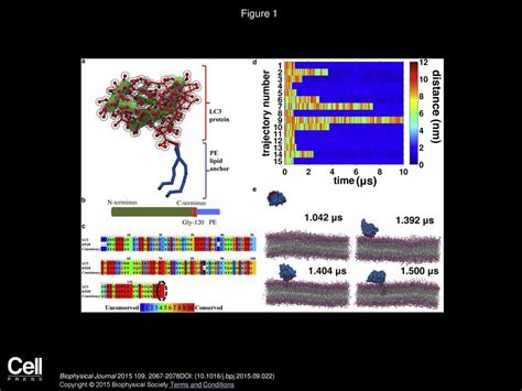 Volume 109 Issue 10 Pages November 2015 Ppt Download