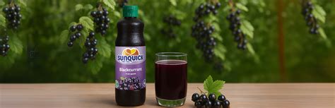 Sunquick Premium Fruit Juice Concentrate Kenya