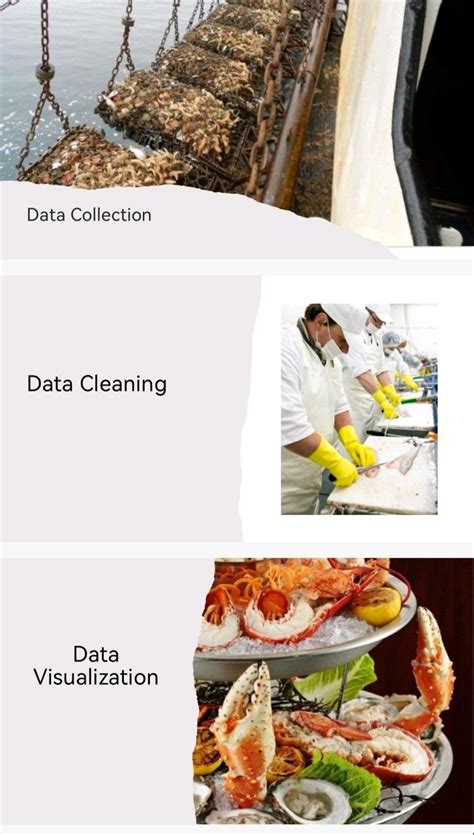 Datascience Datascience Machinelearning Artificialintelligence Ai Ahmed Ali Al Mahmoud