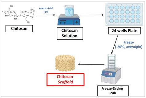 Critical Overview On Pure Chitosan Based Scaffolds For Bone Tissue Engineering Clinical