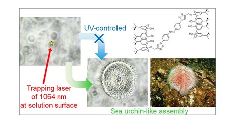 Photocontrolled Supramolecular Assembling Of Azobenzene Based Biscalix 4 Arenes Upon Starting