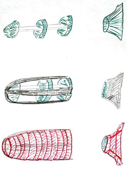Robotic Biomimetic Fish Carl Jamilkowski