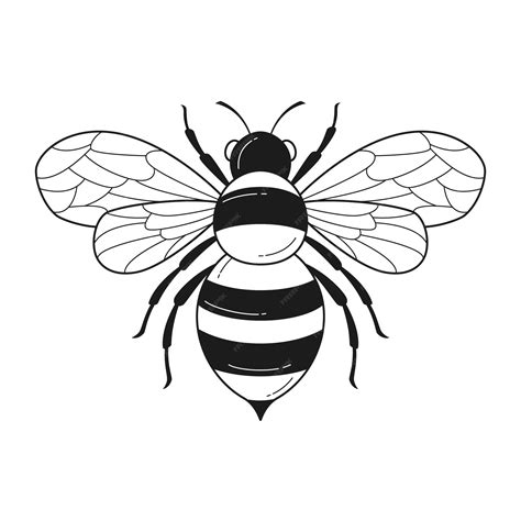 Honey Bee Vector Illustration