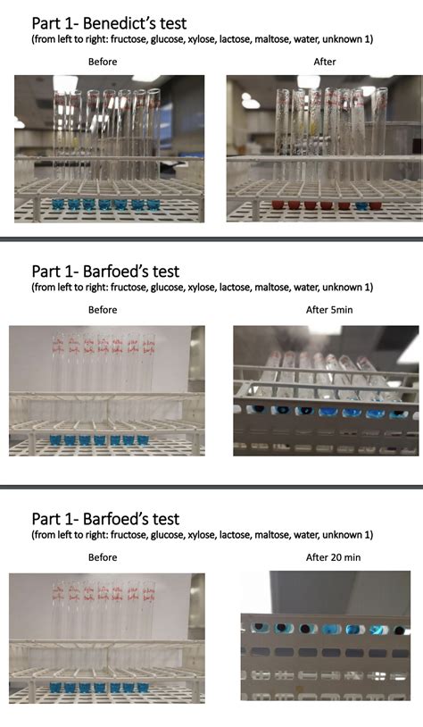 Solved Carbohydrates Are Polyhydroxy Aldehydes Or Ketones Or