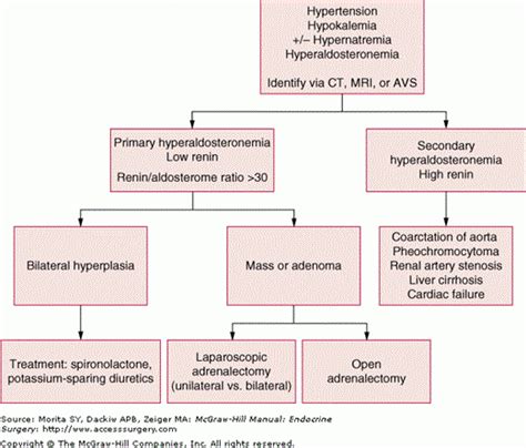 Hyperaldosteronism Abdominal Key