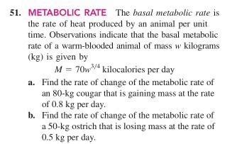 Solved METABOLIC RATE The Basal Metabolic Rate Is The Chegg