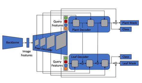 Adapted Mask2former Architecture With Separate Transformer Decoders For