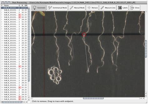 quantitative plant rootdetection