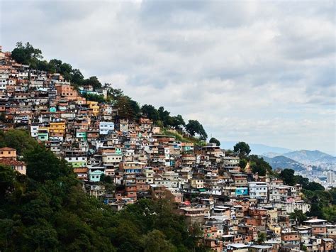 Green Roofs Deliver Badly Needed Cooling In Rio De Janeiros Favelas