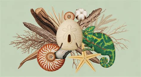 Court Reverses Shell Climate Ruling Easing Corporate Emissions