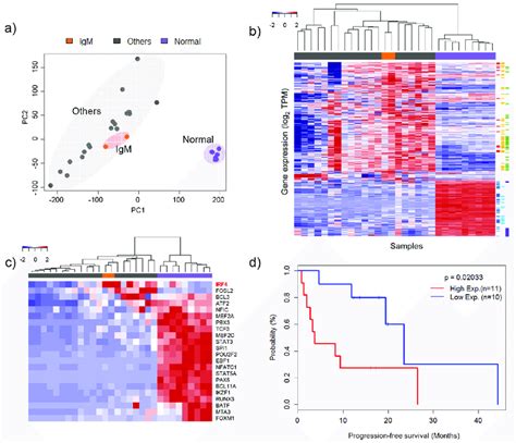Clustering Of Gene Expression Profiles And Heat Map For Specific Gene Download Scientific