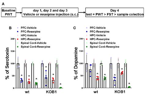 Effect Of Repetitive Reserpine Injection On Serotonin And Dopamine