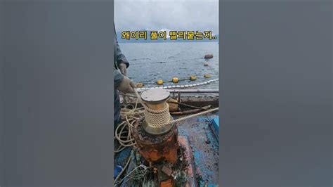 풀이 너무빨리붙어이런이런 바다 작업 그물 Youtube
