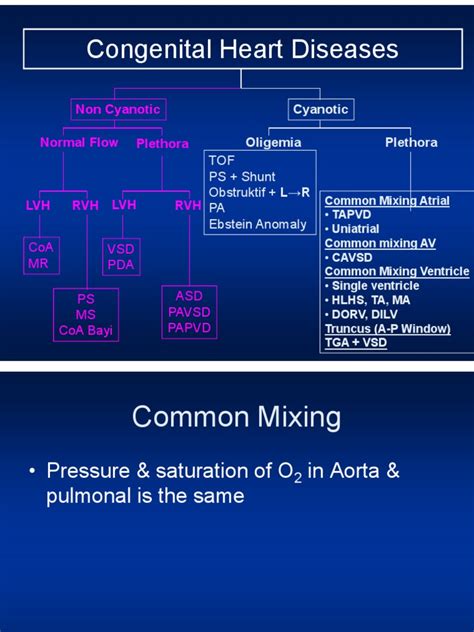 Algorithm Tatalaksana Kelainan Kongenital Pdf