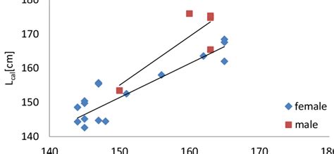 Figure R5 Sex Differences Of The Calculated And Measured Length Of