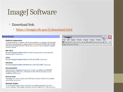 introduction to imagej image analysis new ppt