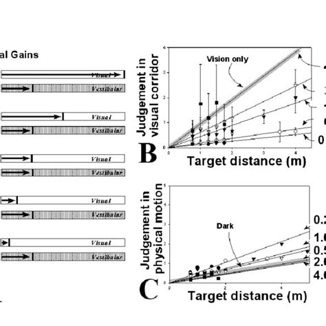 Physical Motion And Visual Cues Were Presented At The Same Time But Download Scientific Diagram