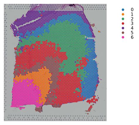stsme clustering tutorial — stlearn 0 3 1 documentation
