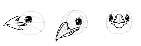 A Guide To Understand Bird With Diagram EdrawMax Online