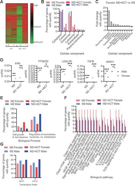 Fpr2 Shapes An Immune Excluded Pancreatic Tumor Microenvironment And Drives T Cell Exhaustion In