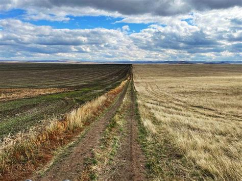 Фотогалерея — Приоритет Агро Prioritet Agro