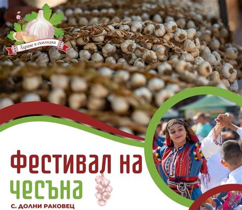 СЕЛОТО на ЧЕСЪНА Долни Раковец събира звездата от Хелс Китчън Станислав и народни любимци на