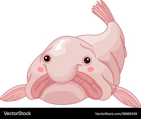 Blob Fish Royalty Free Vector Image VectorStock