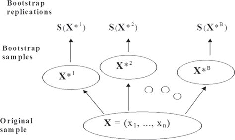 Resampling Steps Of Bootstrap 38 Download Scientific Diagram