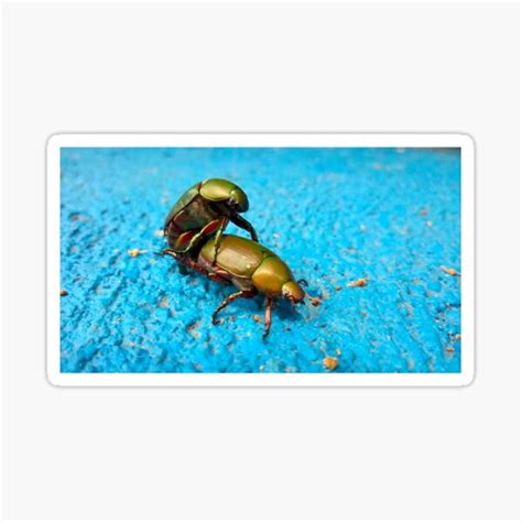 Sex Sticker Sticker For Sale By JD369 Redbubble