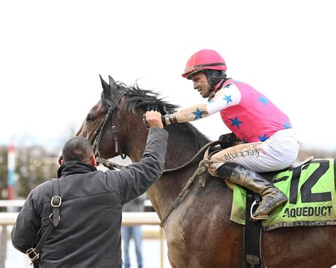 Colebrook Leaning Towards Blue Grass For Raise Cain Past The Wire