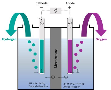Water Electrolysis Explained The Basis For Most Power To X Processes Ptx Hub