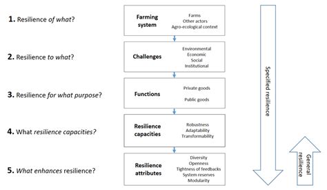 Framework To Assess Resilience Capacities ─ Robustness Adaptability