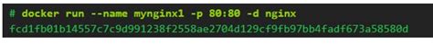 Nginx Container How To Setup Nginx Docker Container Server