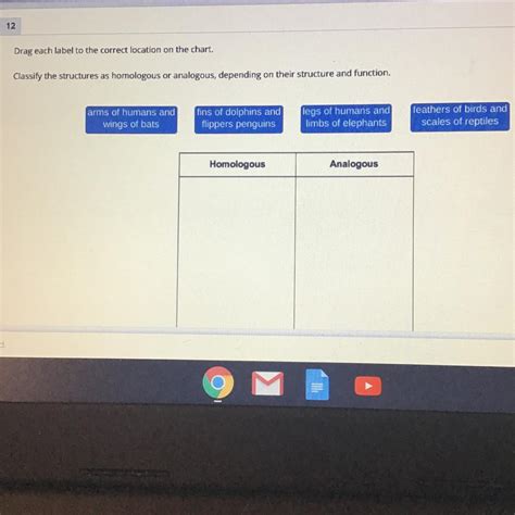 Drag Each Label To The Correct Location On The Chart