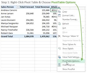 How To Remove Errors In Your Pivot Tables Video Excel Campus
