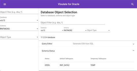csv file generation visulate for oracle