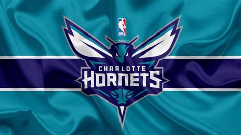 Logo Degli Charlotte Hornets 2024