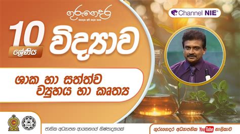 ශාක හා සත්ත්ව ‌ ව්‍යූහය හා කෘත්‍ය 10 ශ්‍රේණිය විද්‍යාව Youtube