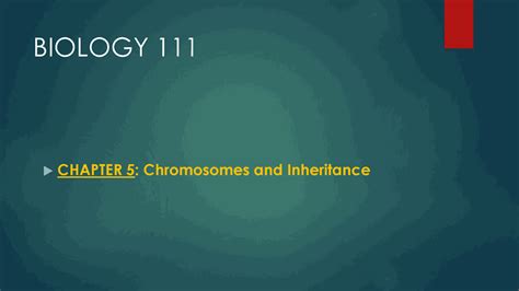 Chromosomes And Inheritance Lecture Notes Biology Docsity
