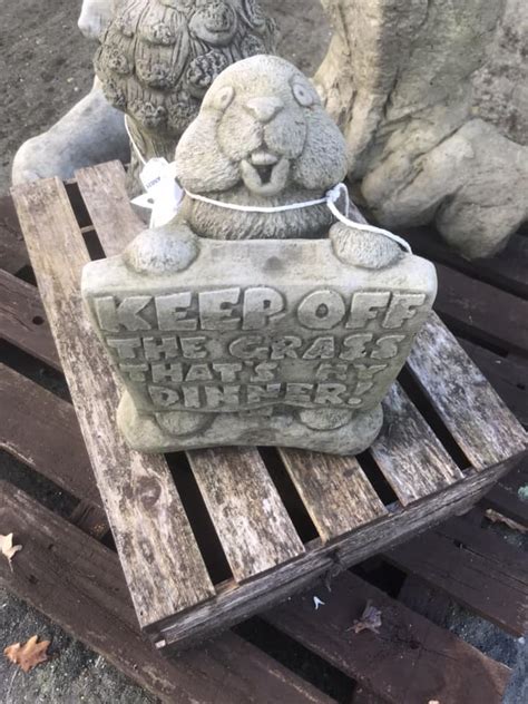 🎄🌸🎄🌸🎄🌸🎄🌸🎄🌸🎄🌸🎄 Treasure Holt Garden Centre