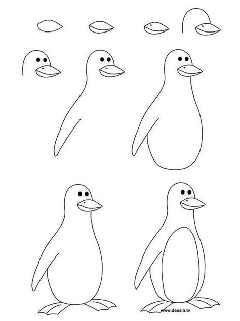 儿童简笔画：飞鸟企鹅北极熊等，详细绘画教程！