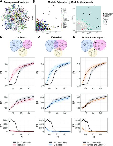 module constraints and simulations a detection of co expression