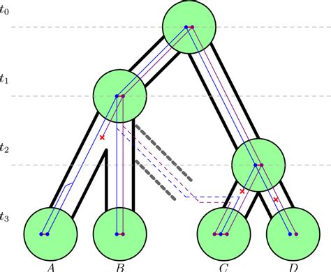 Adjacency Evolution The Evolution Of An Adjacency Within A Dated Download Scientific Diagram