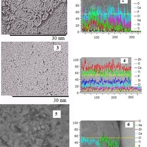 Infrared Spectra Of The Samples 1 Tio 2 −sio 2 −p 2 O 5 Cao 2 Download Scientific