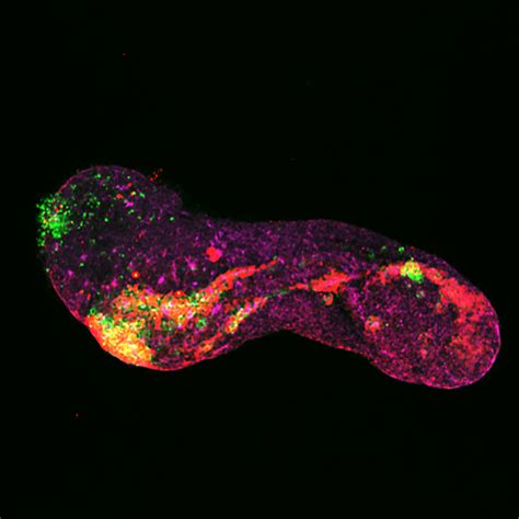“outstanding paper” prize by scientific journal development