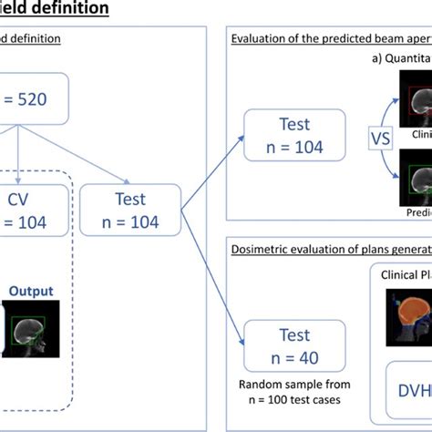 Schematic Illustration Of Workflows Including Dl‐generated Field
